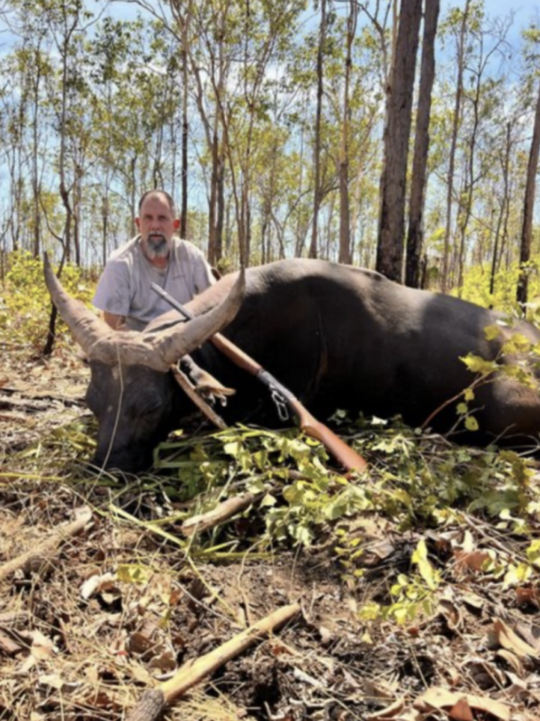 Banteng Hunt (Bos Javanicus) | iHunt Downunder