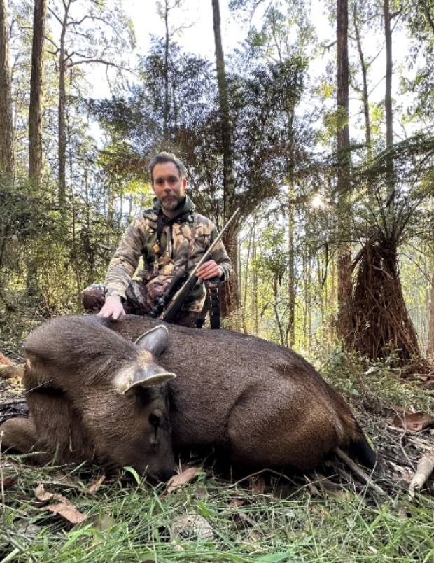 Multi Species Island Hunt – Queensland | iHunt Downunder